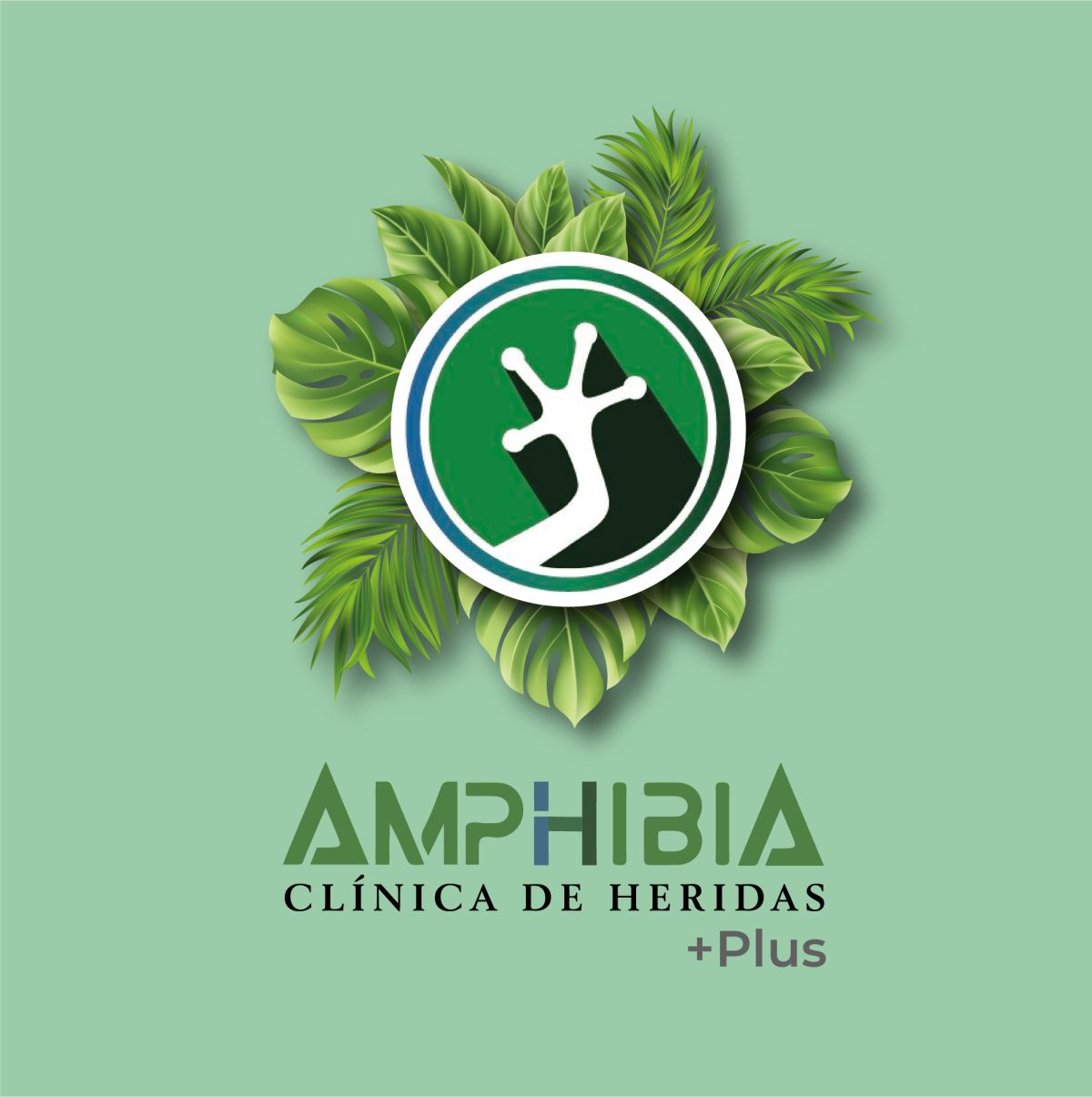 Amphibia – Health & Life IPS SAS